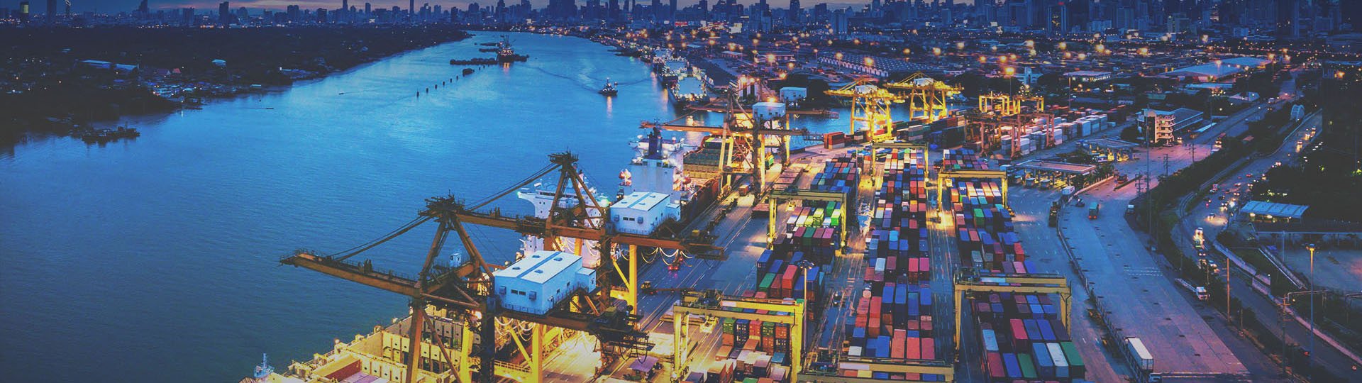 Surveyor Induction Series