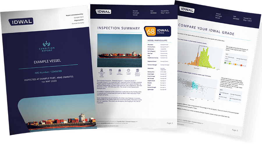 Download an Idwal Sample Condition Report