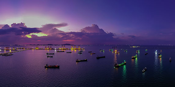 Surveyor Technical Guides